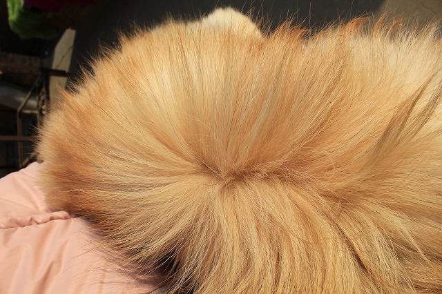 Fly Tying Materials,Fly Tying Fur,Pelts ,Feather,Fly Tying Fur&Hair ...