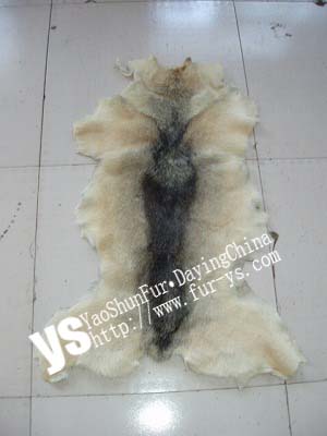 fur pelt|fur skin|Fox skin|Mink skin|REX rabbit skins|rabbit skins ...