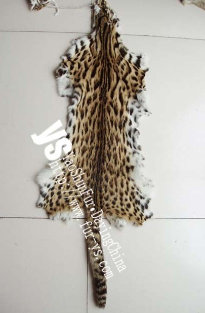 fur pelt|fur skin|fitch skin|Fox skin|REX rabbit skins|rabbit skins ...